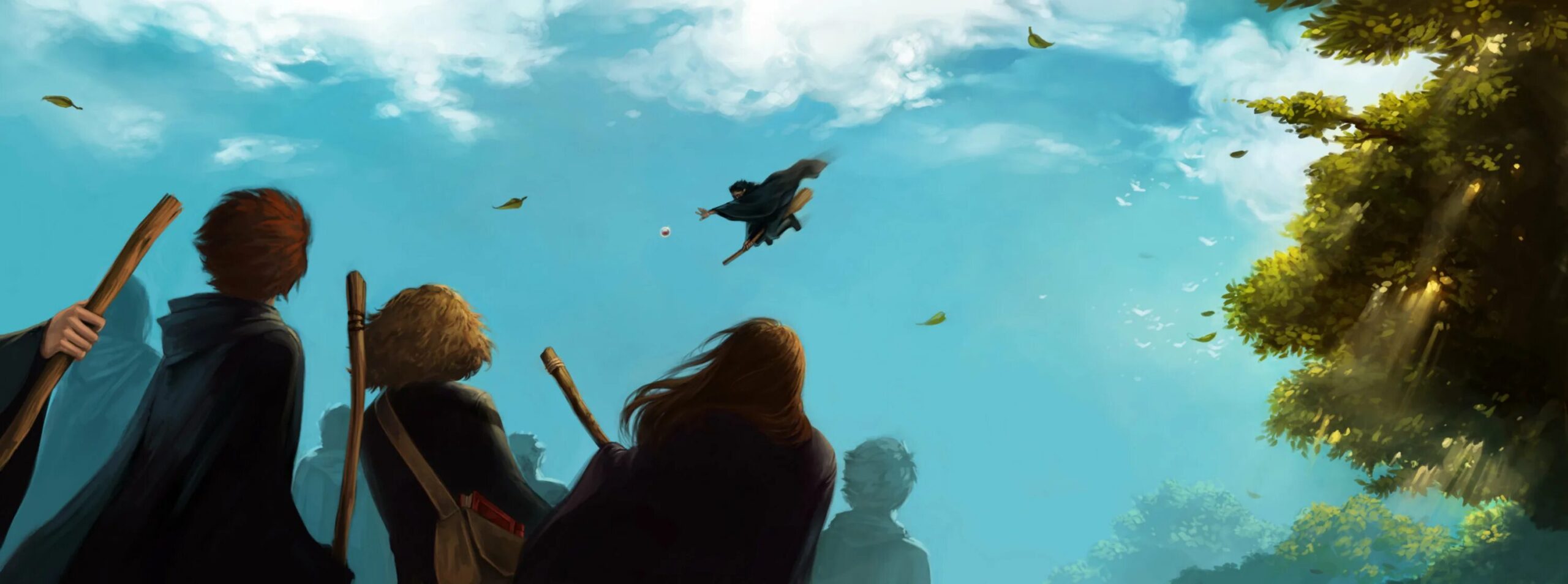 Harry potter flying: фотографии в высоком качестве