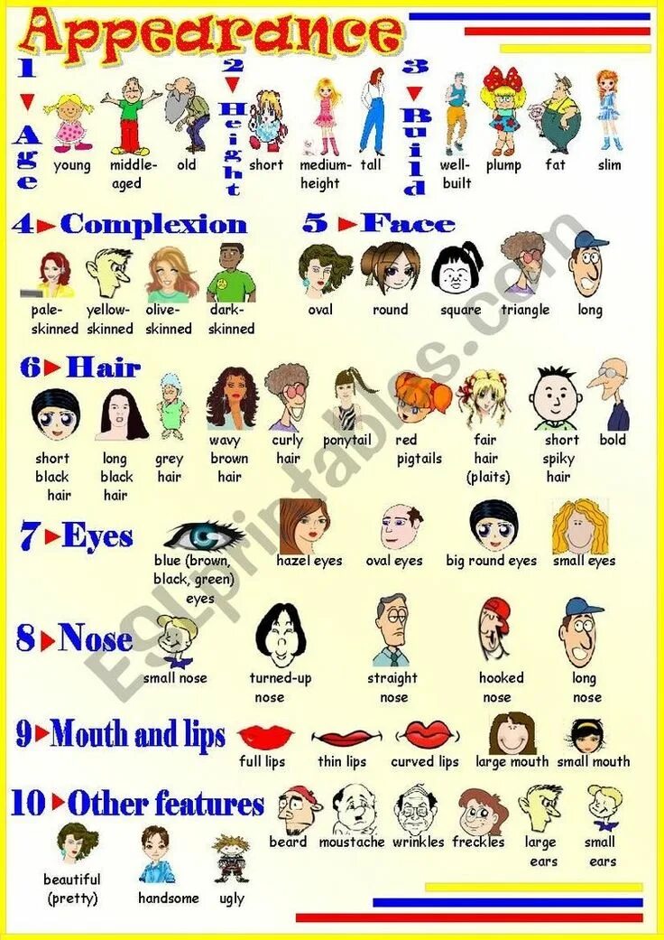 Appearance and character: фотографии в высоком качестве