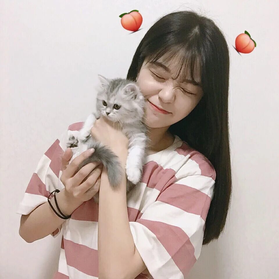 Korean cats: фотографии в высоком качестве